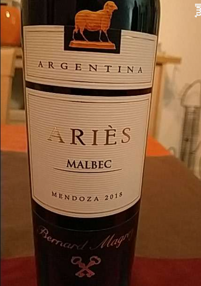Bernard Magrez Ariès Mendoza Red wine Malbec