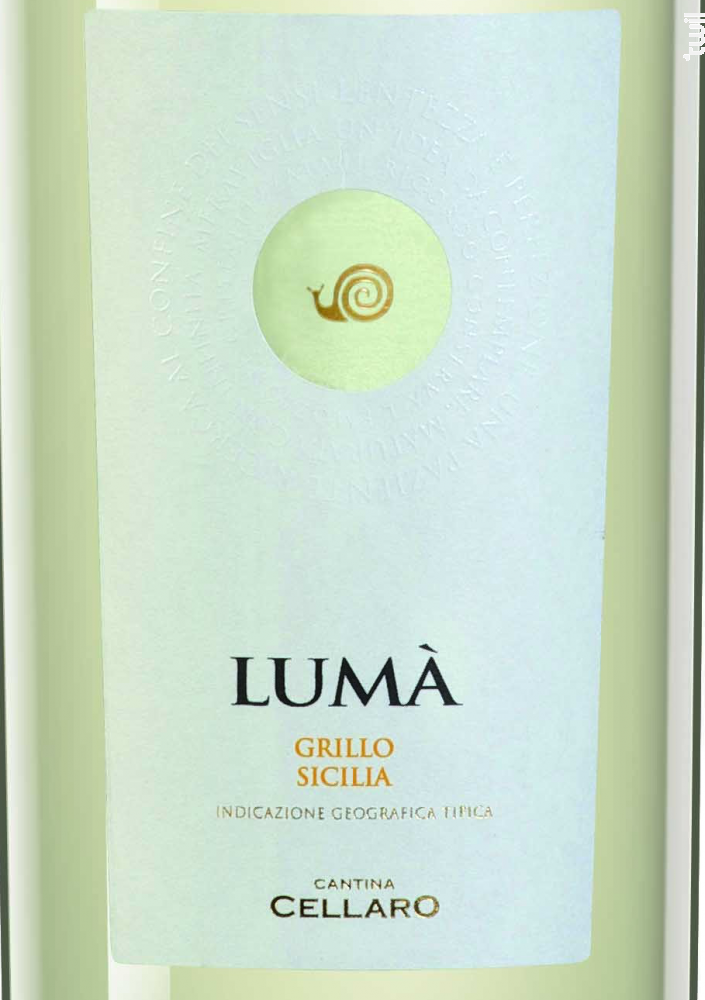 Buy Wine Luma Grillo White - Cantine Cellaro - Sicilia Igt - Best Price